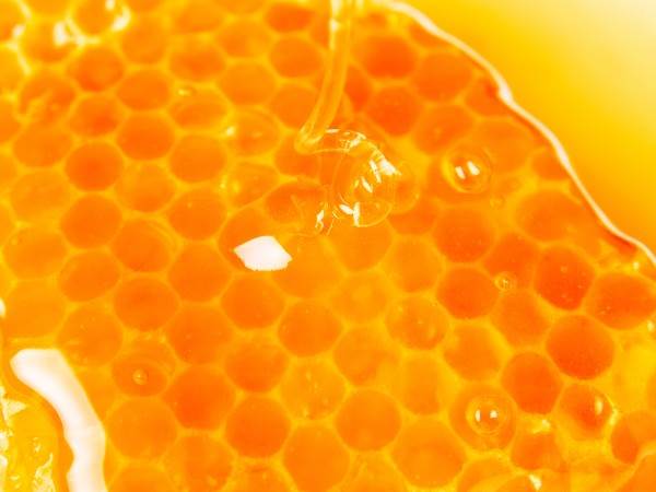 Podcast Manuka-Honig - ebi-pharm.ch